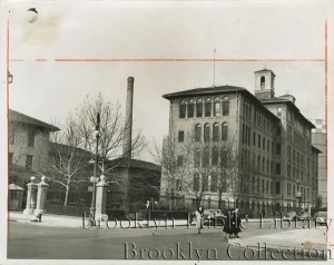 Greenpoint Hospital – Adventure Bible School